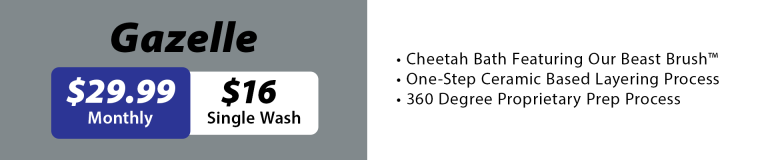 Service Details - Cheetah Clean Auto Wash